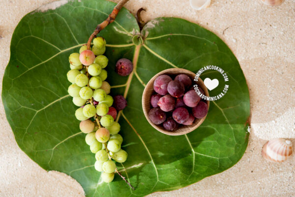 30+ Frutas Dominicanas - De Aguacate a Zapote