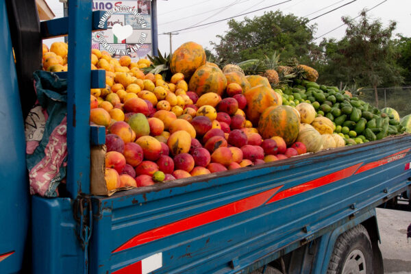 30+ Frutas Dominicanas - De Aguacate a Zapote